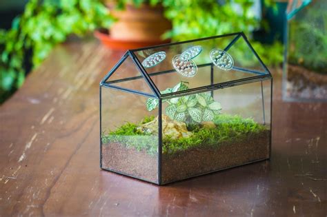 NCYP Handmade Geometric Glass Close Terrarium Box House Shape Etsy