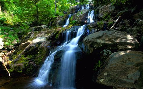 Forest Waterfall Wallpapers Wallpaper Cave
