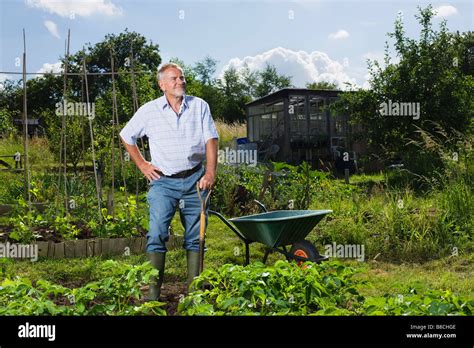 Senior Man Gardening Stock Photo Alamy