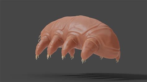3d Tardigrade Sculpture Model 3d Model Cgtrader