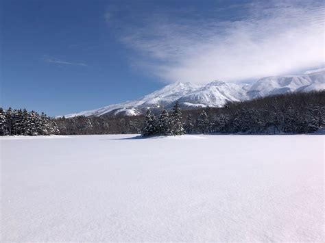 2024 2 9 厳冬期の知床五湖エコツアー info trek shiretoko