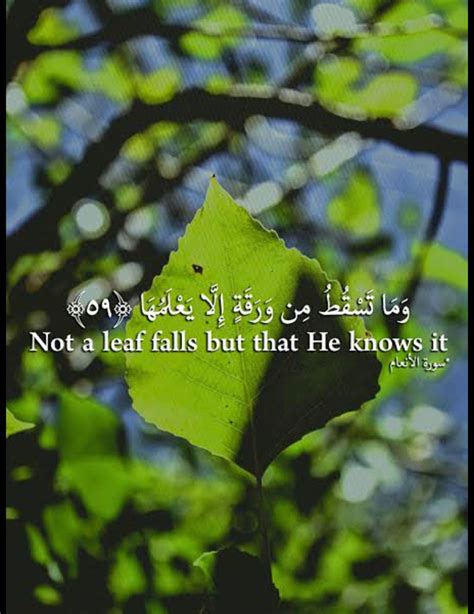 Aneesa Desai Posted On Linkedin