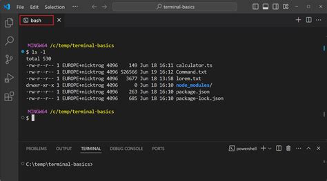 Vscode 集成终端 菜鸟教程