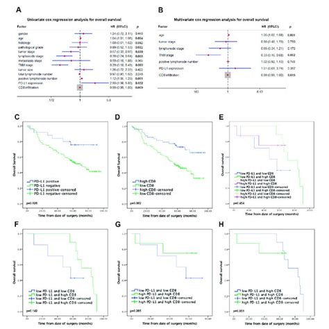 Correlation Between Pd L1 Expression Cd8 Til Tumor Infiltrating