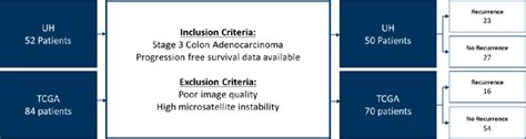 dataset description download scientific diagram