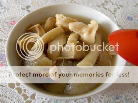 Magical Wonderland Sin Ling Is Here