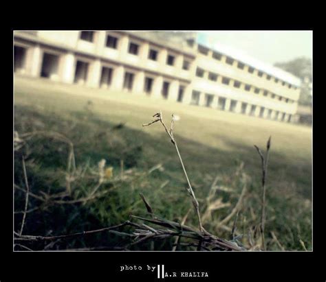 Mdc Model Institute Mirpur