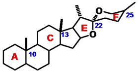 甾体皂苷的结构与分类 药学职称冲刺考点药学职称 正保医学教育网