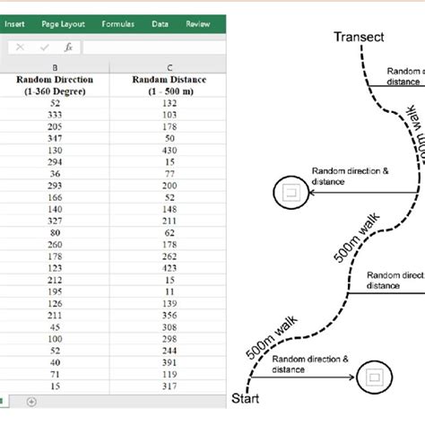 Diagrammatic Representation Of Trail Transect Survey And Plot Layout Download Scientific Diagram