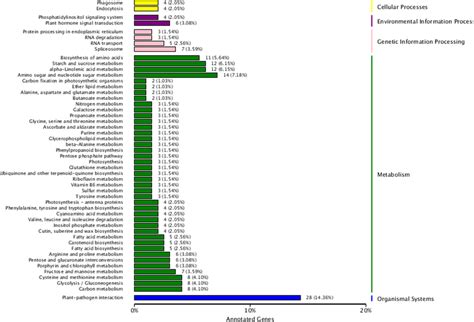 Functional Annotation Of Degs In The Kegg Database Kegg Pathway