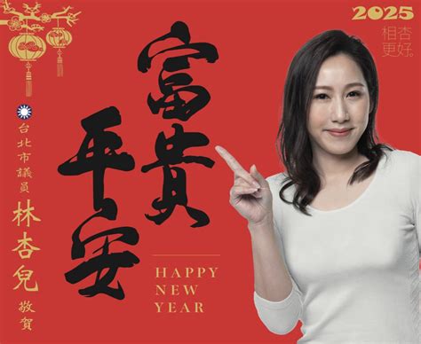 林杏兒 台北市議員