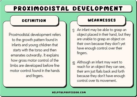 Examples Of Proximal And Distal
