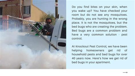 Get Rid Of Bed Bugs Permanently With Knockout Pest Control Ppt