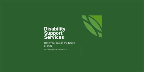 Disability Support Services Community Consultation 2025 — Independent
