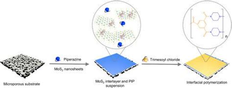 具有mos2纳米片夹层的高性能薄膜复合纳滤膜 Journal Of Membrane Science X Mol