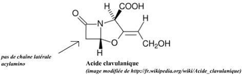 Inhibiteurs Des Béta Lactamases
