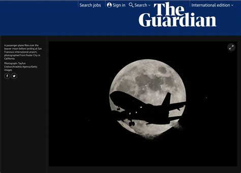 Tayfun Coskun Posted On Linkedin