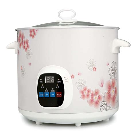 6l Large Capacity Black Garlic Fermenter Black Gar Vicedeal