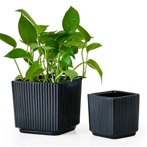6 Inch Square Flower Pots Set Black Wholesale Flower Pots And Planters