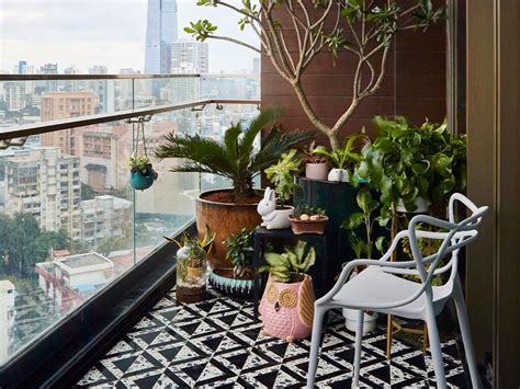 What Plants To Grow In Balcony At Kiara Victor Blog