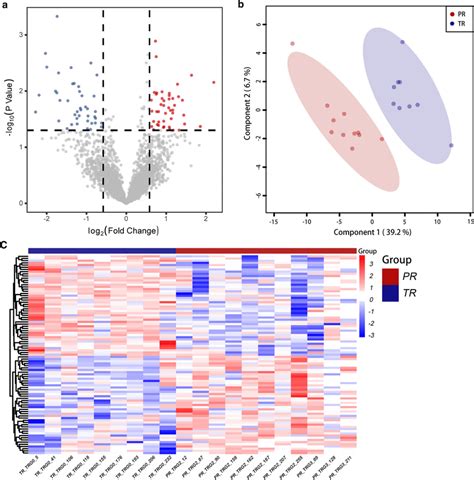 Differential Protein Expression Characteristics A Volcano Plots Show