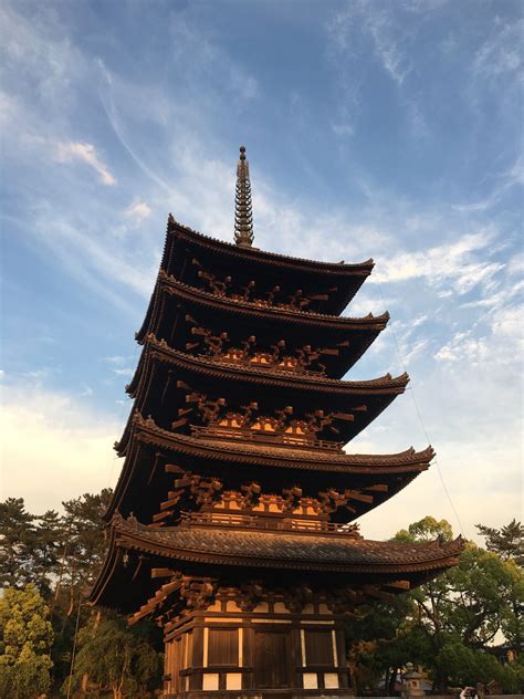 One Day Trip To Nara Magical Town Of Deers And World Class Old