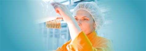 Manual Visual Inspection