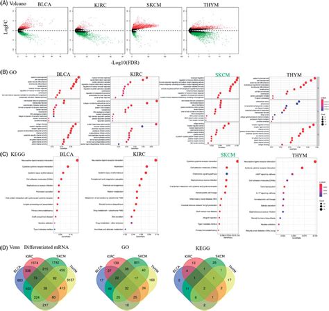The Differential Expressed Genes Between High And Low Sema4D Expression