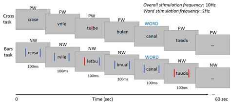 experimental design sequences of letter strings were presented at 10hz