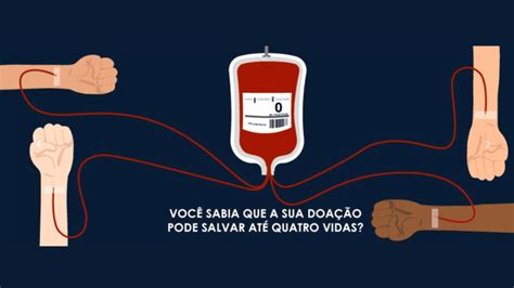 Doação De Sangue Requisitos Como Agendar E Onde Doar Minha Vida