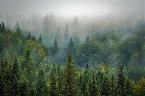 Le verdissement de la planète Willagri Comprendre les enjeux de l agriculture