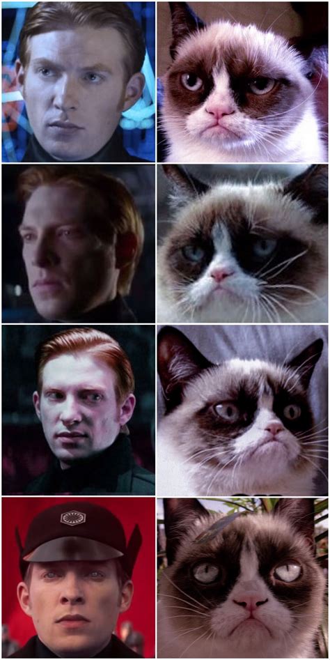 General Hux And Grumpy Cat Comparisons Star Wars Memes Star Wars