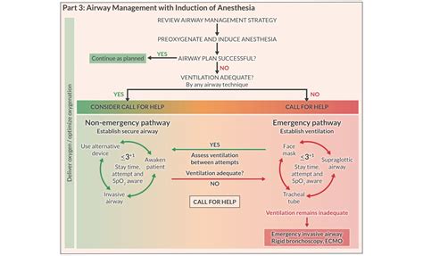 Asa Difficult Airway Algorithm Whats New Apex Anesthesia
