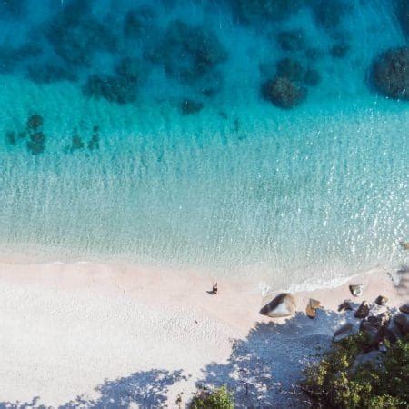 Fitzroy Island Guide Tropical North Qld We Are Explorers