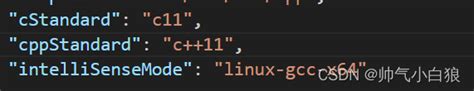 Vs Code 提示 Namespace “std“ Has No Member ““ 解决方法vs Code老是误报