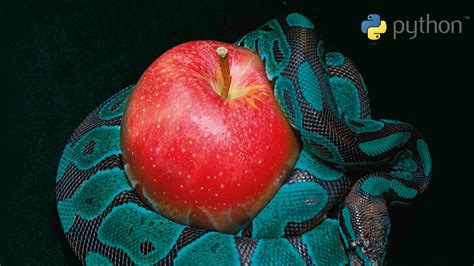 Python Is Back Wibu Systems