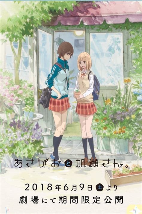 牵牛花与加濑同学图册360百科