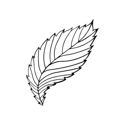 Captivating Leaf Inspired Graphic Design Element Jiffy Designs