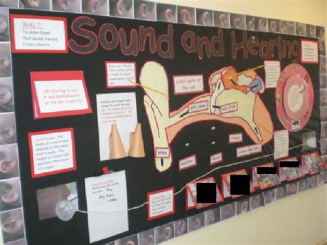 Sound And Hearing Classroom Display Photo Sparklebox Classroom Displays Science Display