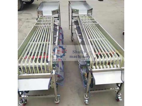 jujube grading machine shuliy machinery