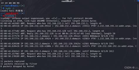 Kali Tcpdump抓包kali抓包命令 Csdn博客