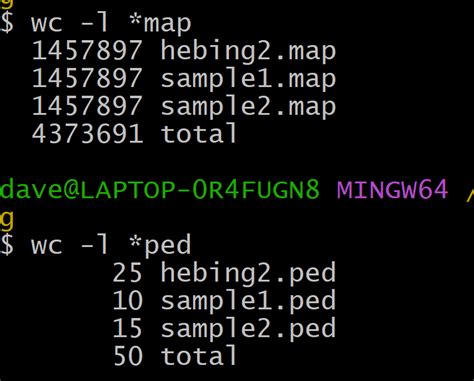 高效合并基因型文件:多个vcfand多个plink 知乎 高效合并基因型文件:多个vcfand多个plink 知乎