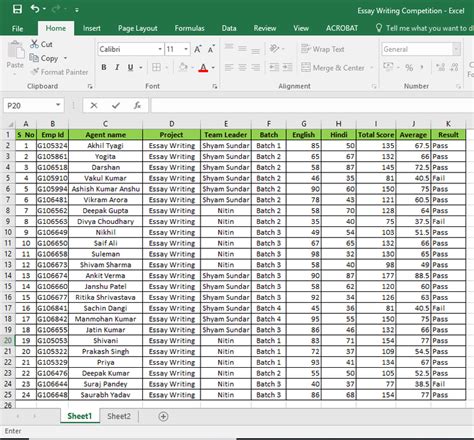 Excel Work Data Entry Freelancer