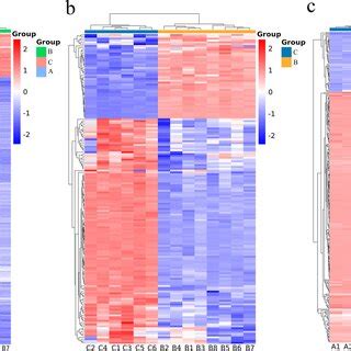 Cluster Analysis Of Differentially Expressed Proteins Red Represents