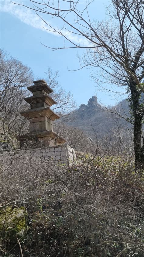 Daum 카페