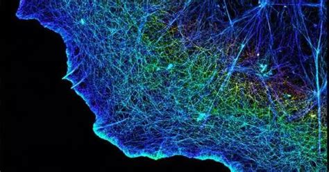 A Broad Chemical Principle For Developing Closure Stabilizing Integrin