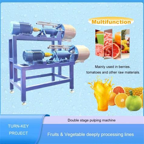 Industrial Automatic Fruit Pulp Making Machine For Mango Pulp Processing