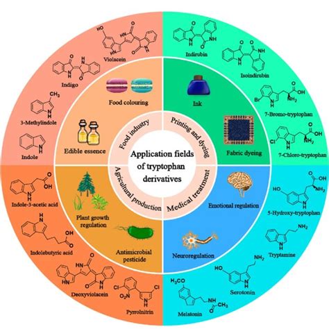 Biosynthesis Of Tryptophan Derivatives Download Scientific Diagram
