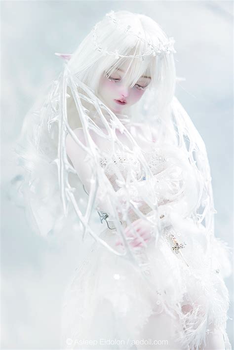 Aedoll X Xagadoll Neve 1 4 Bjd Nudedoll Fullset Preorder Anubis Doll Café