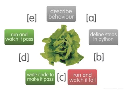 lettuce 基于python的bdd工具，中文编写自动化测试用例 python中的lettuce csdn博客
